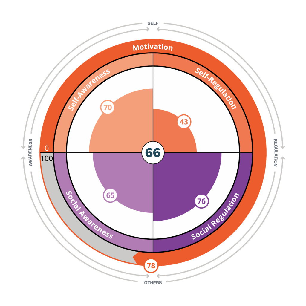 DISC/EQ – The Faculty